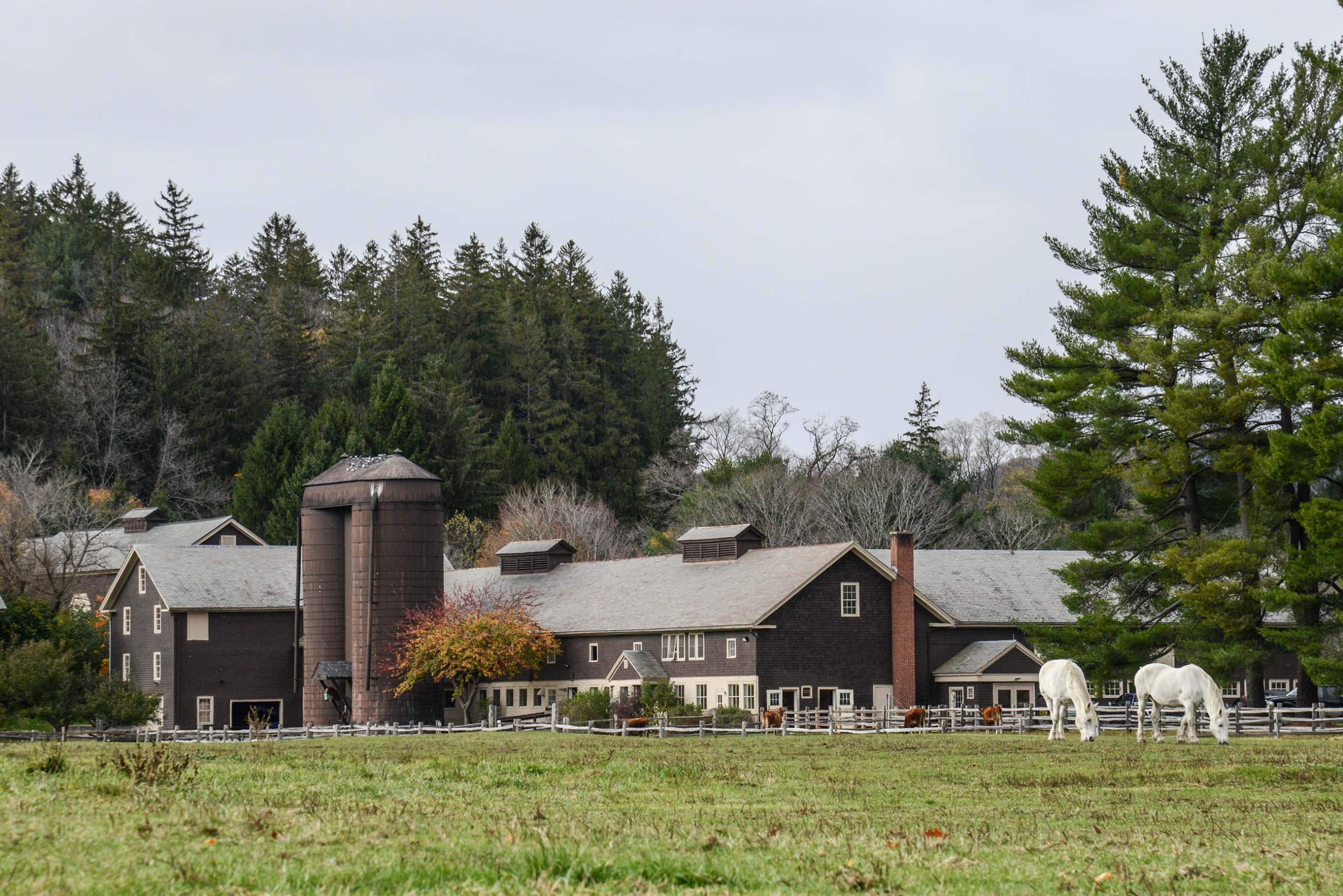 Family Wednesdays on the Farm | The Woodstock Inn and Resort