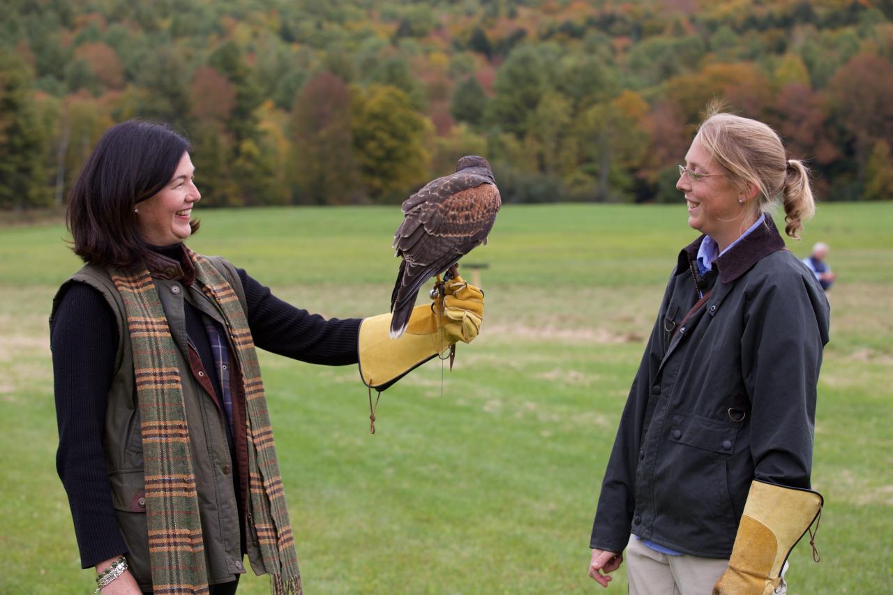 Falconry | The Woodstock Inn and Resort