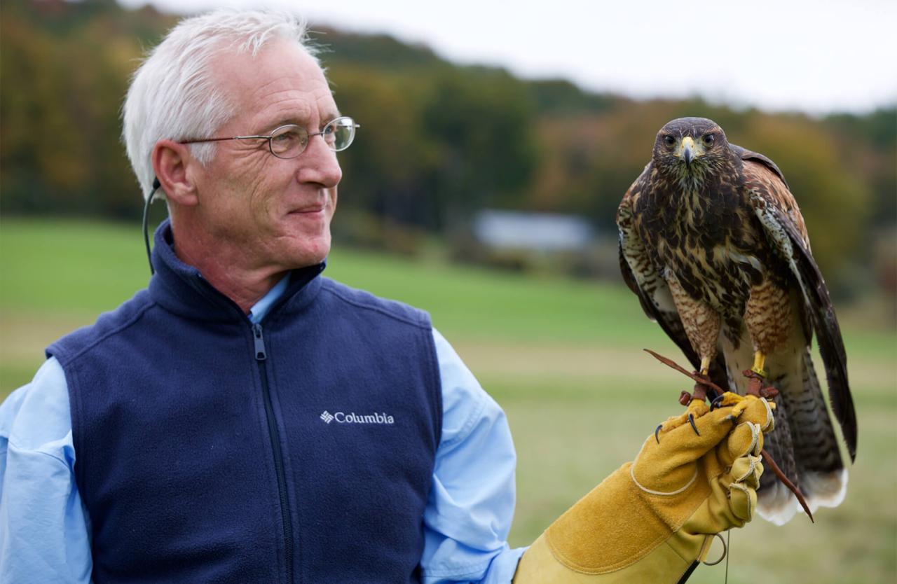 New England Falconry | Things To Do Around Woodstock VT