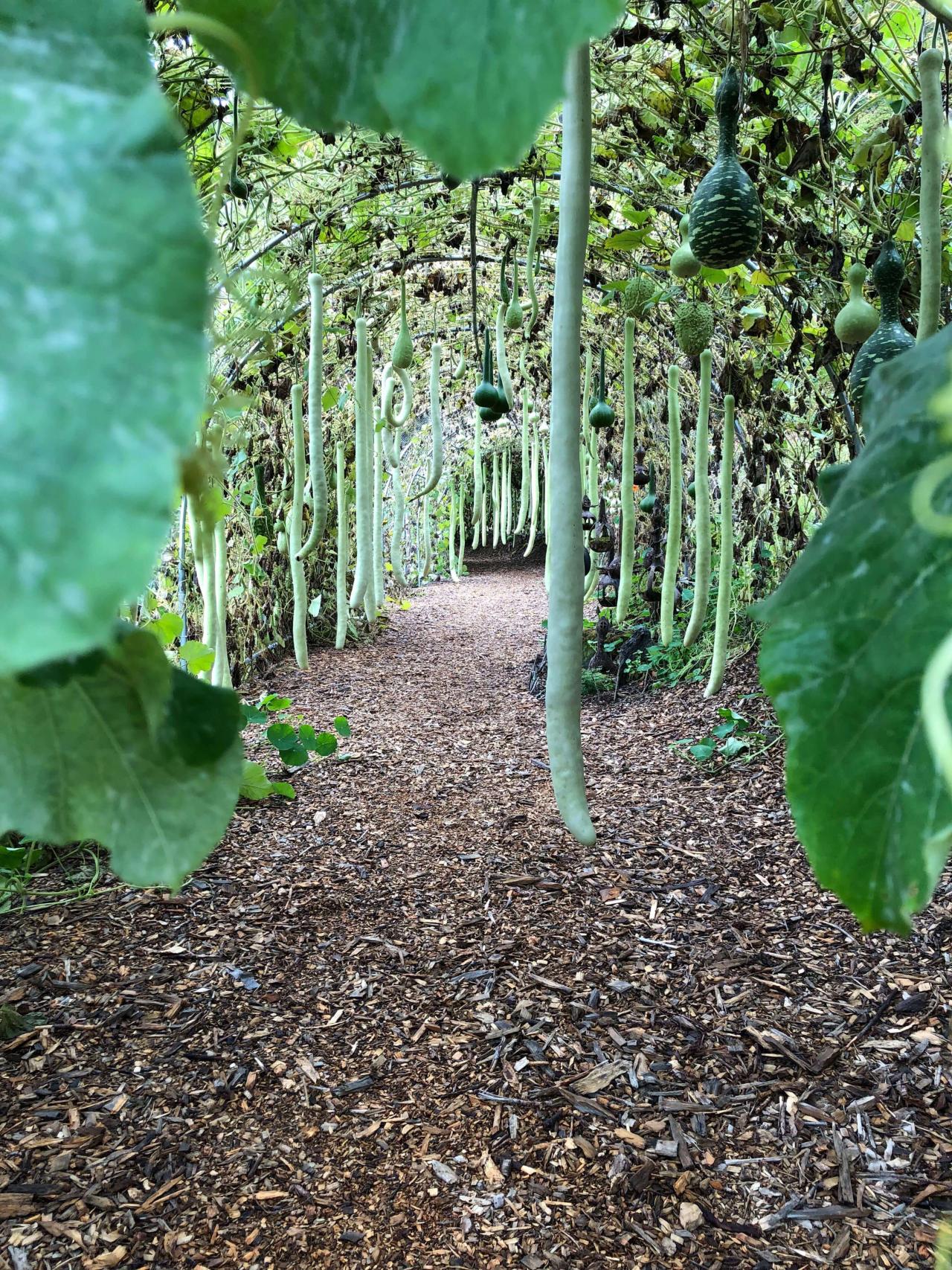 Garden Displays | The Woodstock Inn and Resort