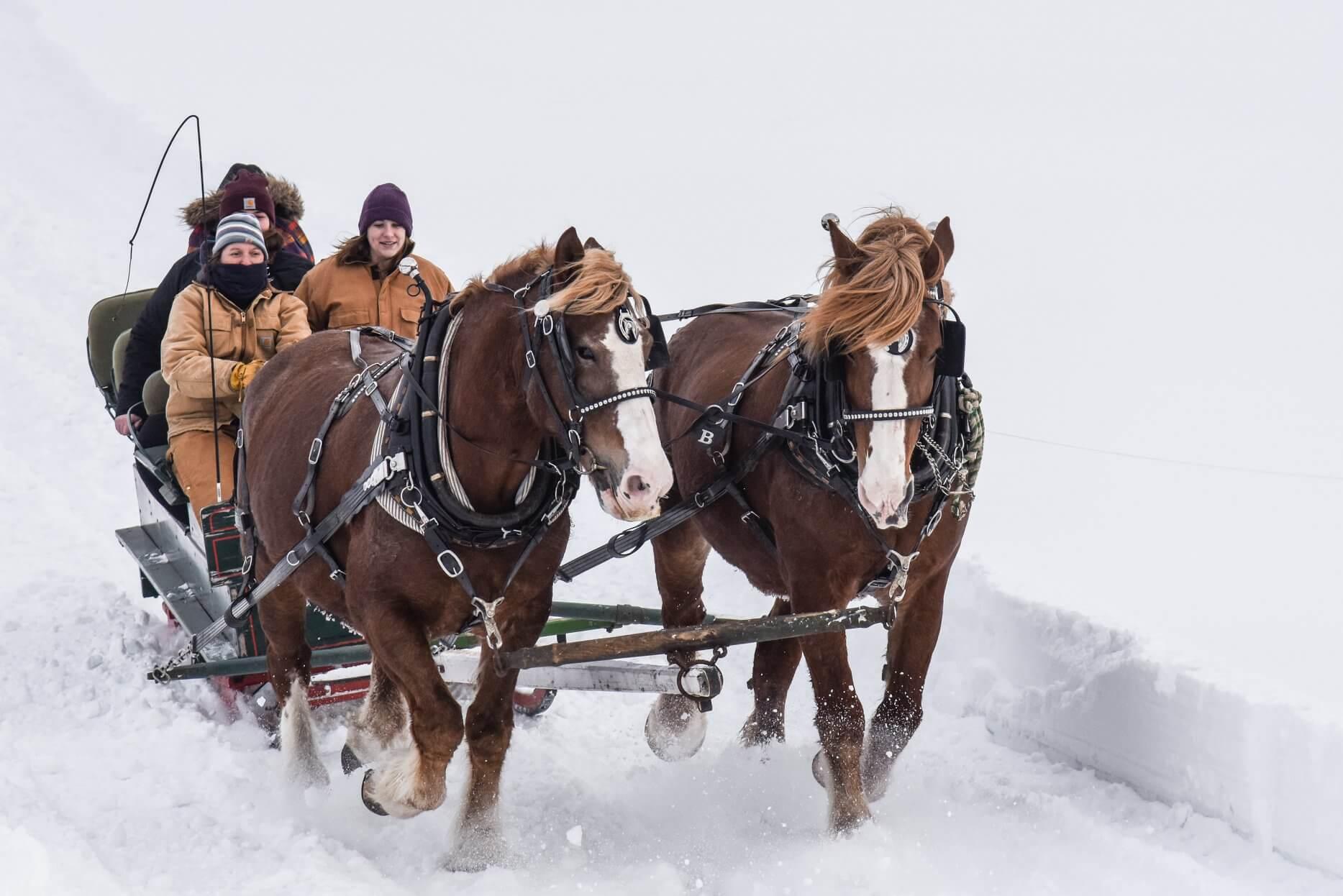 Vermont Inns With Sleigh Rides | Sleigh Rides In New England