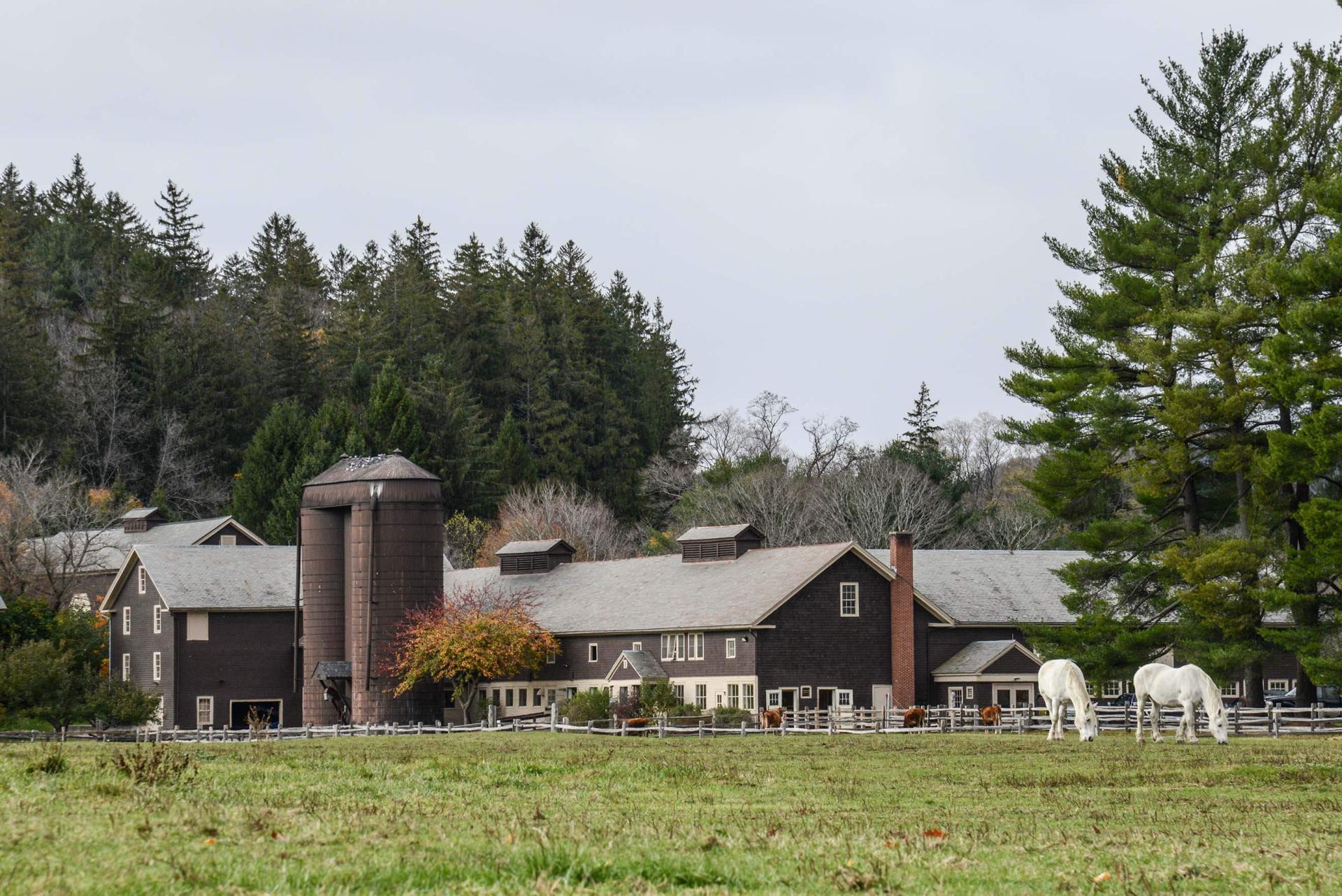 Billings Farm And Museum | Things To Do In Woodstock VT
